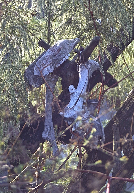 "Bone tree" | Souls Grown Deep